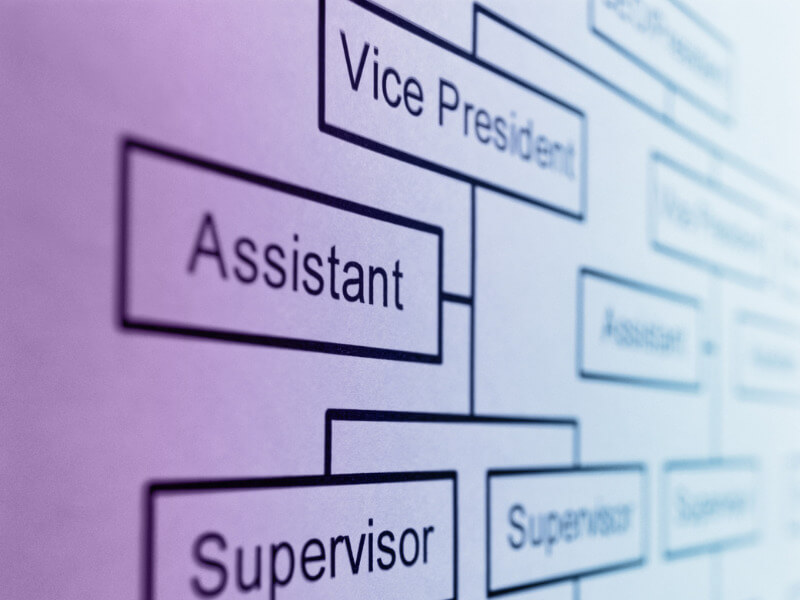 Cara Instan Bikin Struktur Organisasi Tanpa Edit Manual, 10 Detik ...