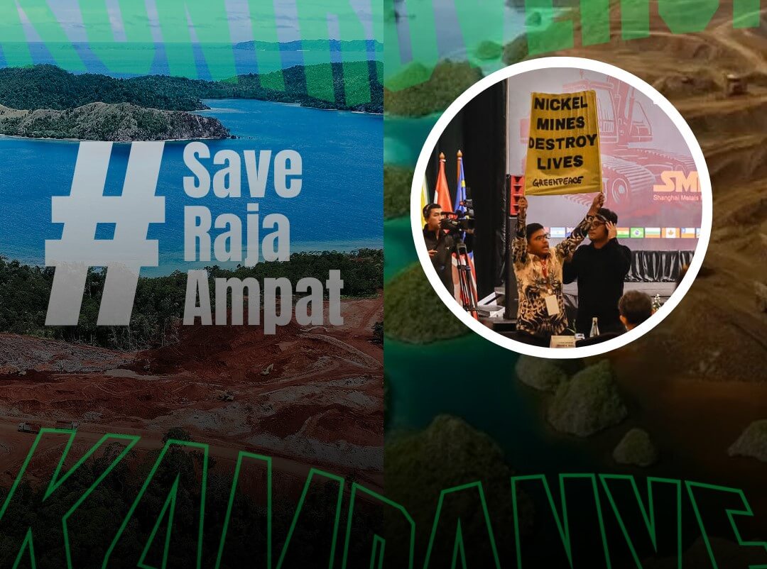 Fakta di Balik Kontroversi Kampanye Save Raja Ampat Greenpeace yang ...